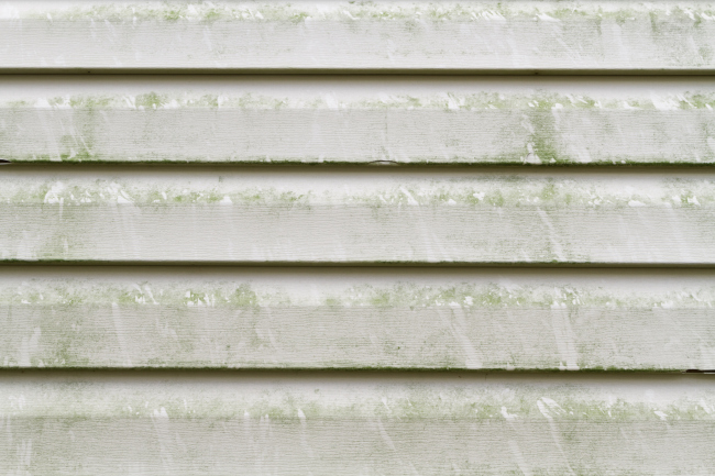 4 Common Stains Our Exterior House Cleaning Services Can Conquer ...